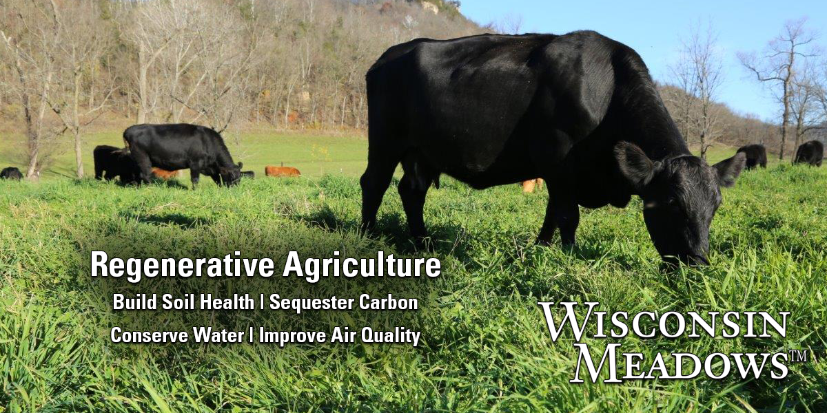 Healthy, perennial pasture systems preserve our most precious resource ...