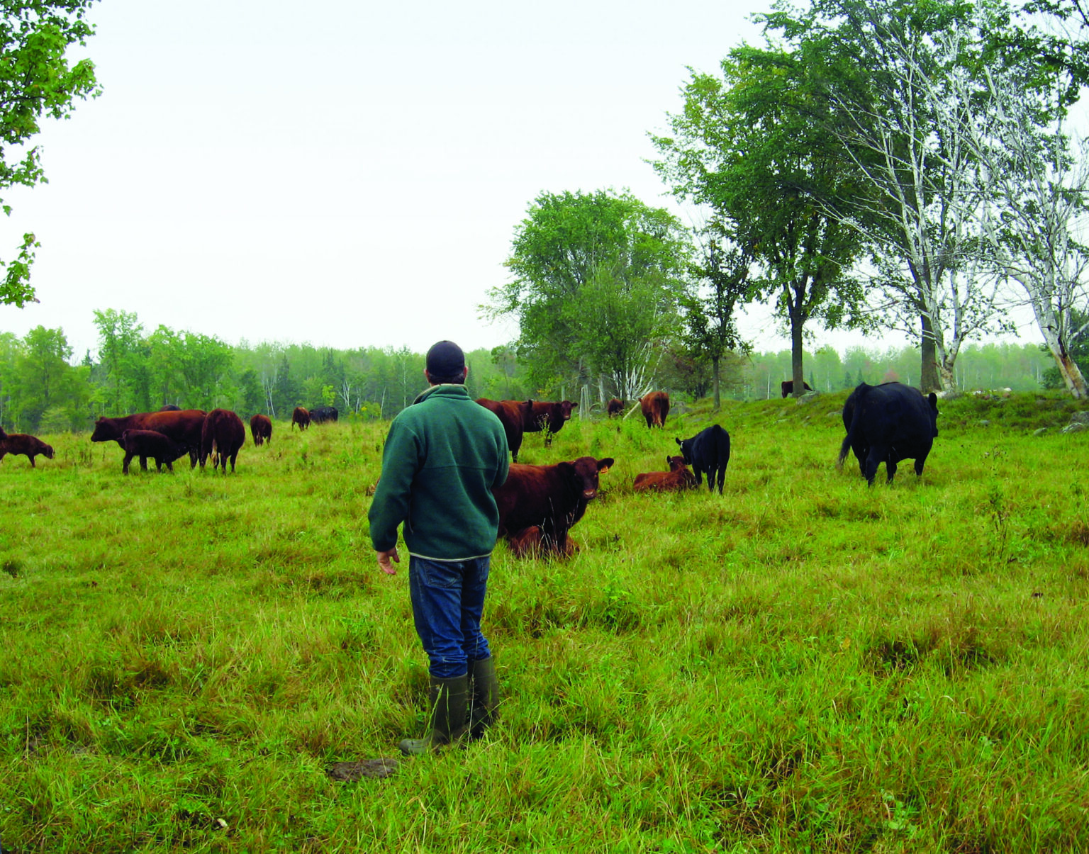 Our Practices - Wisconsin Meadows